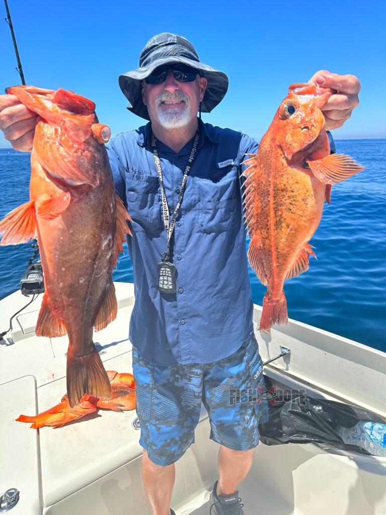 High Definition Bathymetry Maps | Daily Fishing Reports From Baja ...