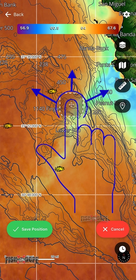 How to Use the New App Features | California Fishing Reports | Sea ...